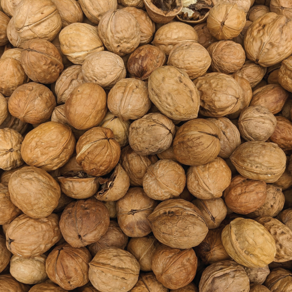 Walnut ( અખરોટ ) | Sattvagun Foods